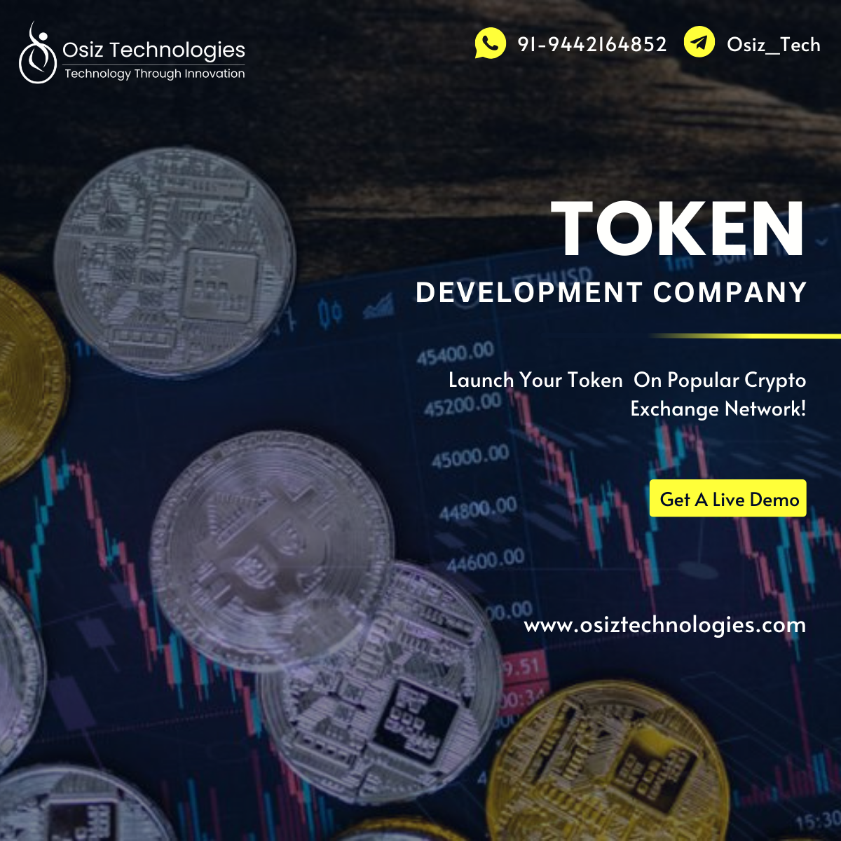How to Successfully Launch a Token with a Crypto Exchange Development Company | by Celestria ...