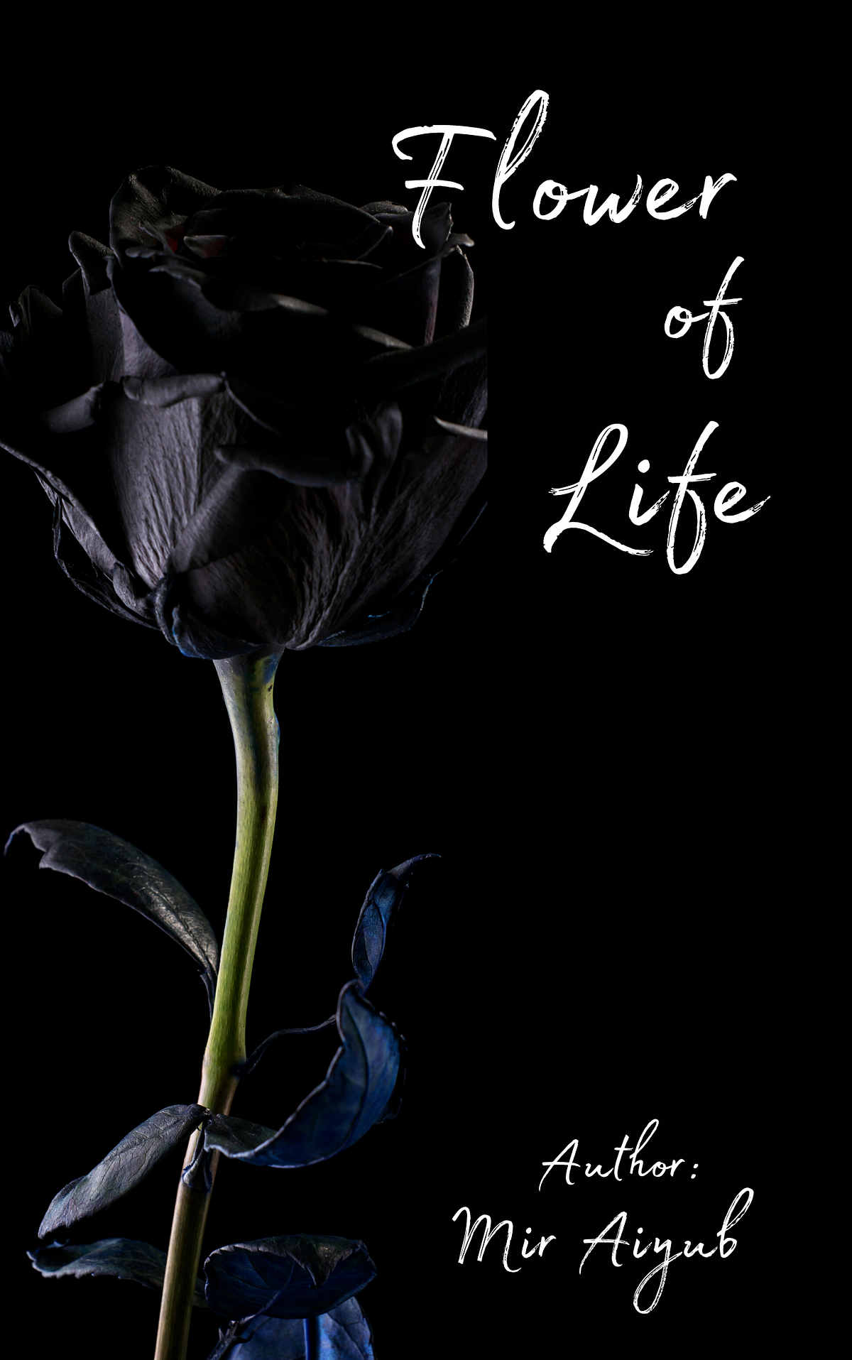 Office cleaning A filthy workplace can impact employee morale as well as their health. Anyway, a ...