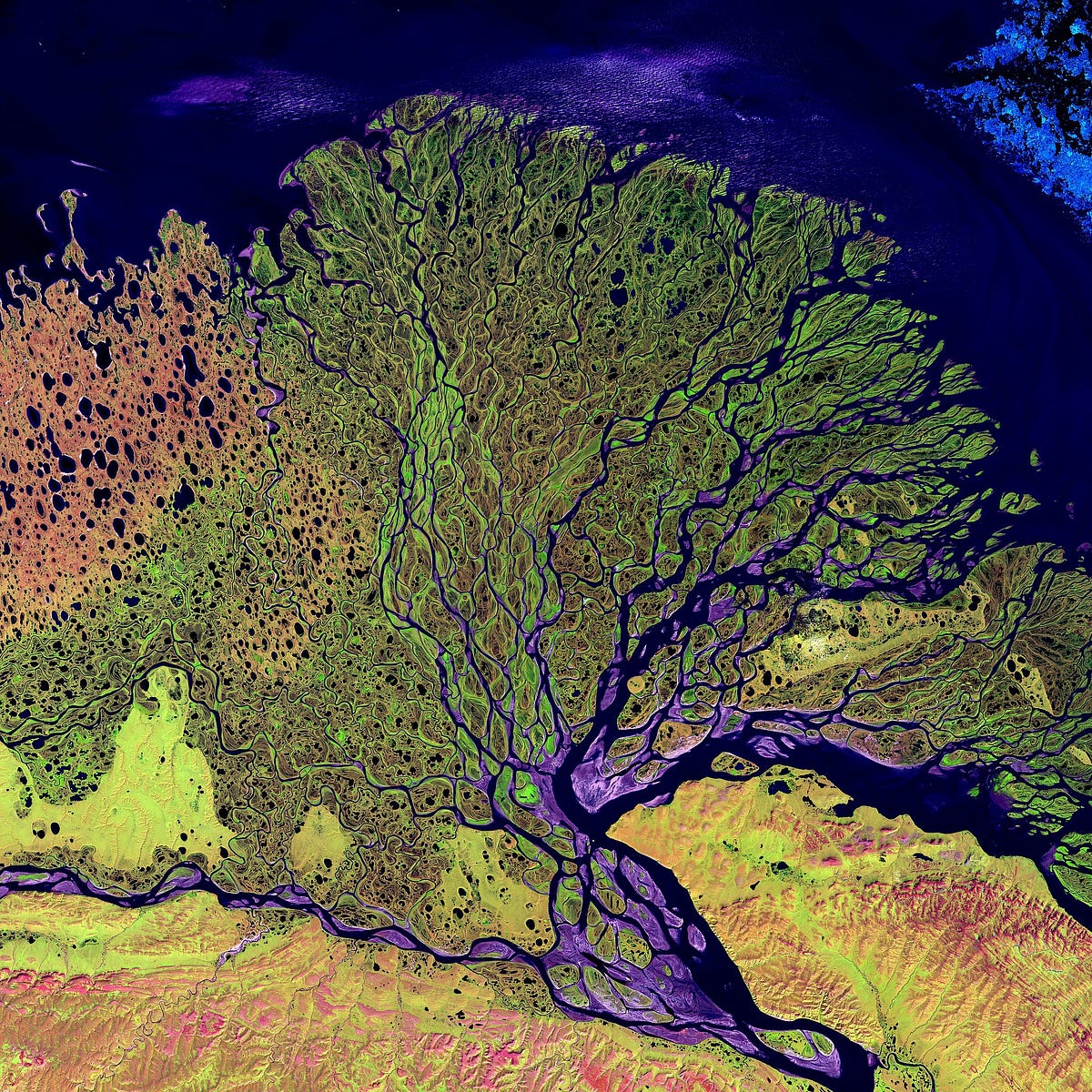 Earth Love. Haiku | by Tracy Aston | Haiku Hub | Medium
