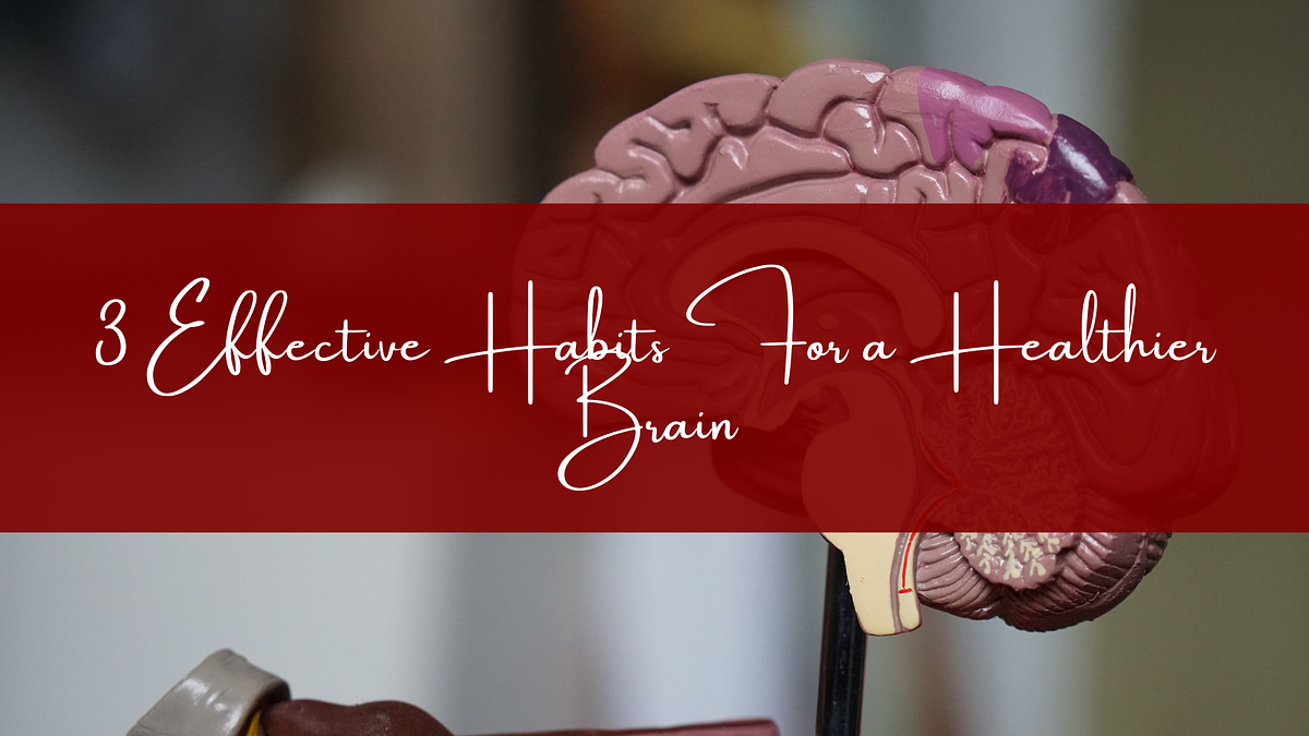3 Effective Habits That Keep Your Brain Healthy as You Age | by Denis ...