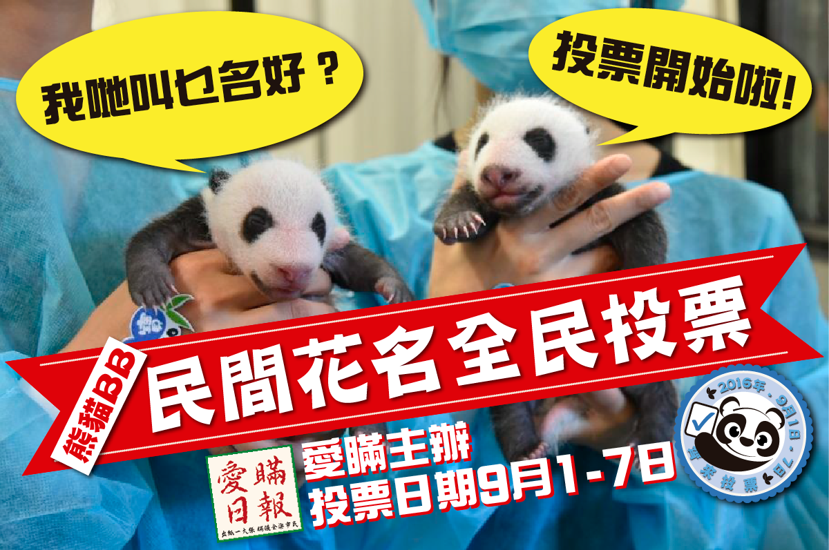 Vote for Panda Nicknames is Now Open | by Jason CHAO | Jason Chao’s ...