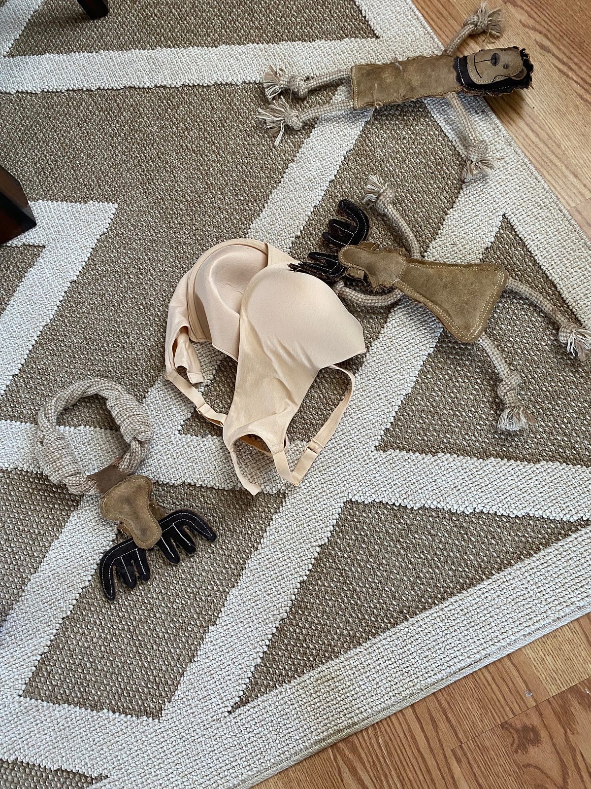 What Do Bras and Dog Toys Have in Common? | by Michael Rhodes | the ...