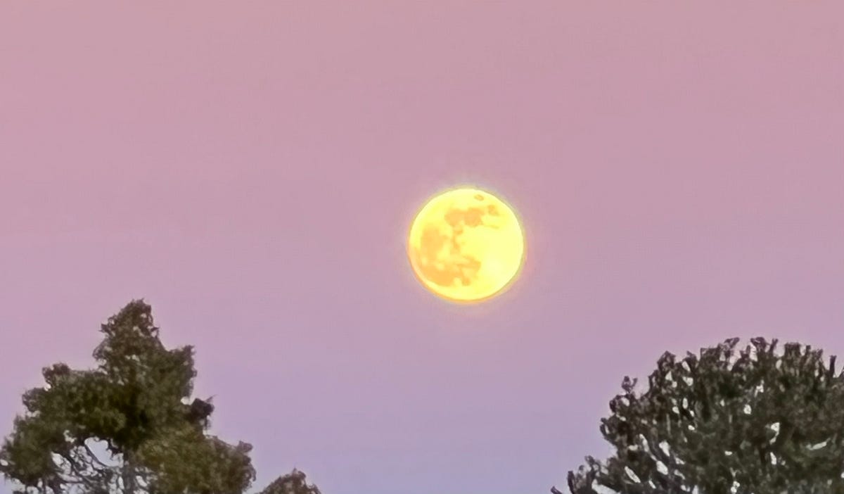 As The Moon Set. As the golden bit of moon’s glory set… | by Lisa Spray ...