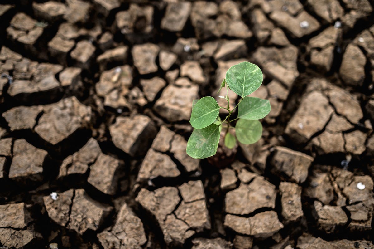 Why Saving the Climate is Imperative for America’s Wellbeing, Economy ...