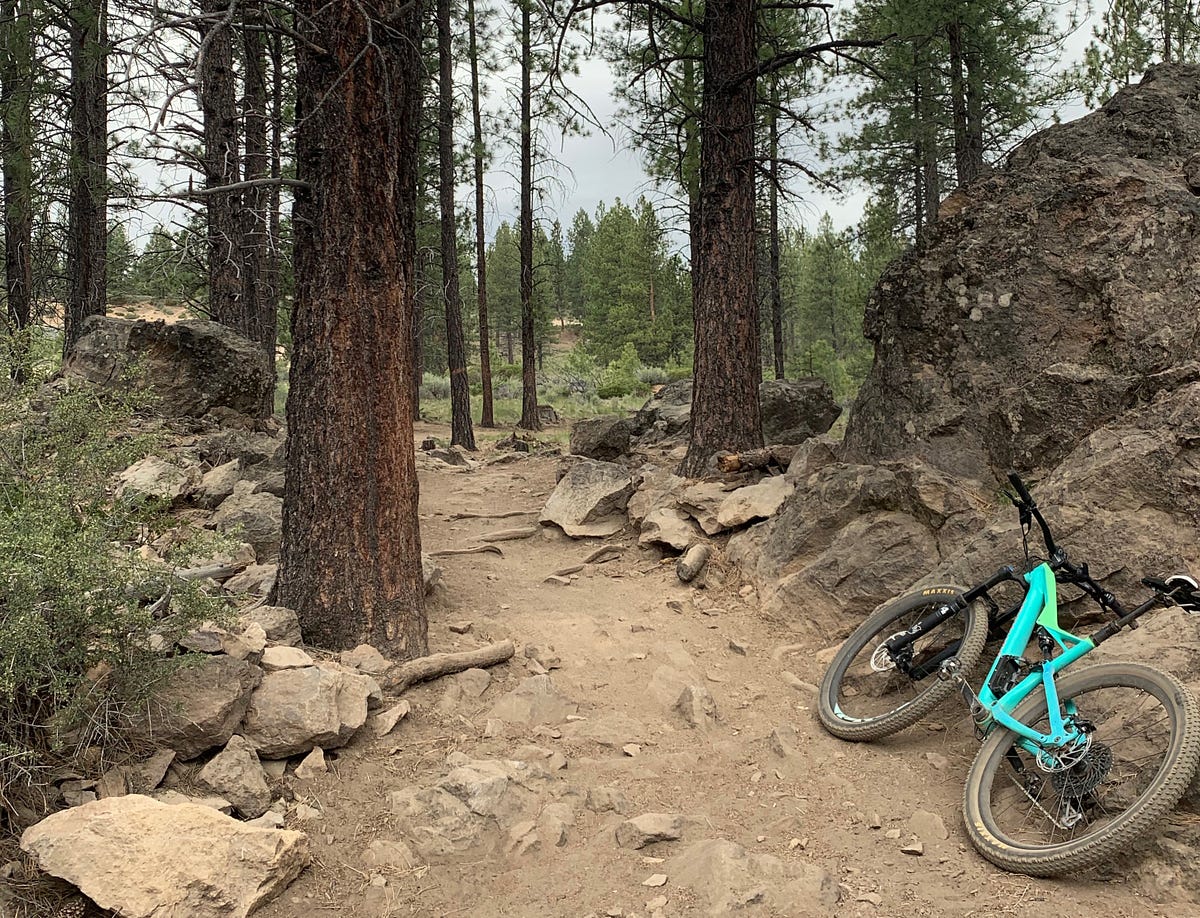 A Life Lesson from an Oregon Trail | by Suzanne Johnson | BLUE PLANET ...