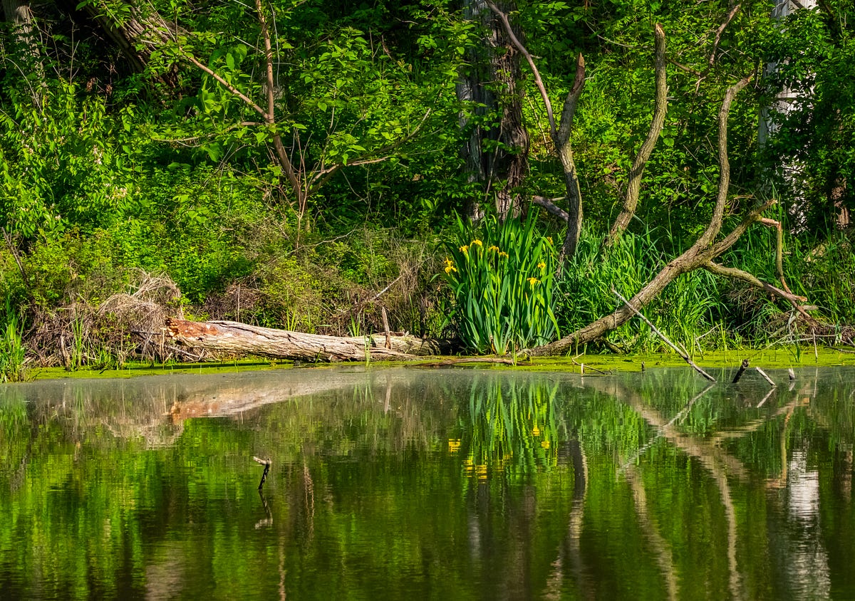 Where Three Rivers Meet. One Haibun & Twenty Haiku, In Lieu of… | by V ...