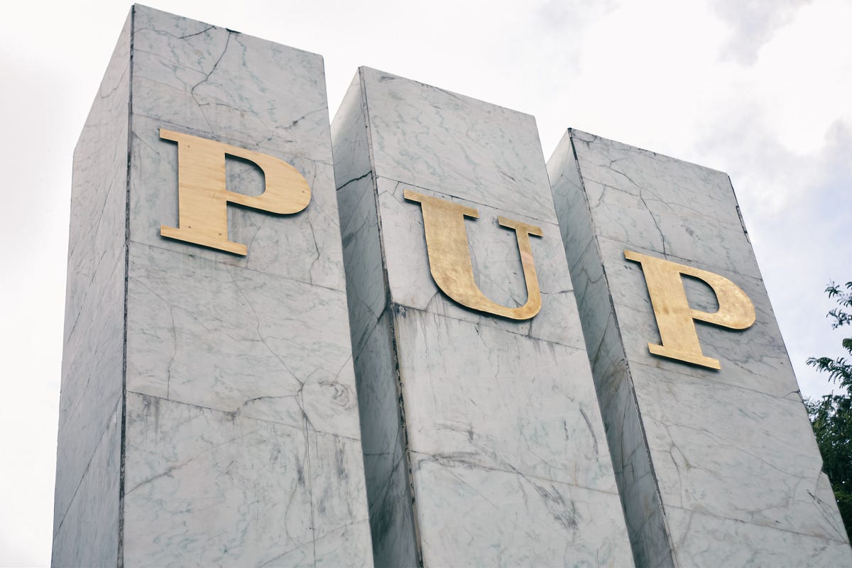 PUP grads bag top spots in licensure exams; Topnotchers shared pre ...