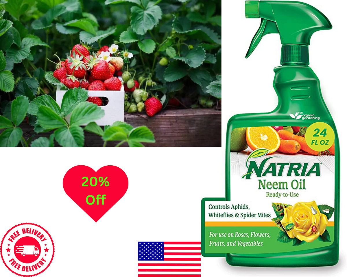 Natria 706250A Neem Oil Spray for Plants Pest Organic Disease Control ...