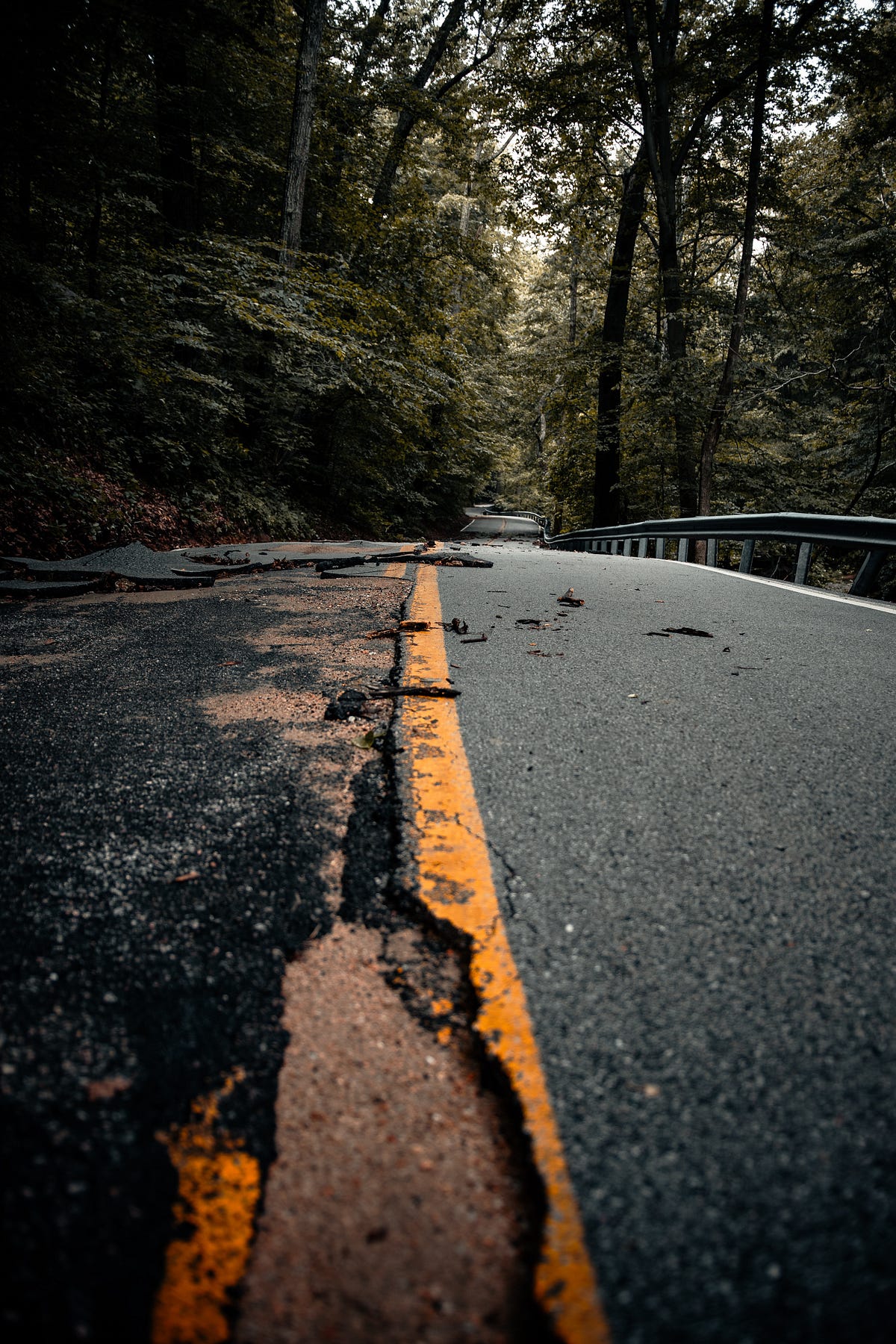 Summary of “Damaged but Not Destroyed: From Trauma to Triumph” by ...