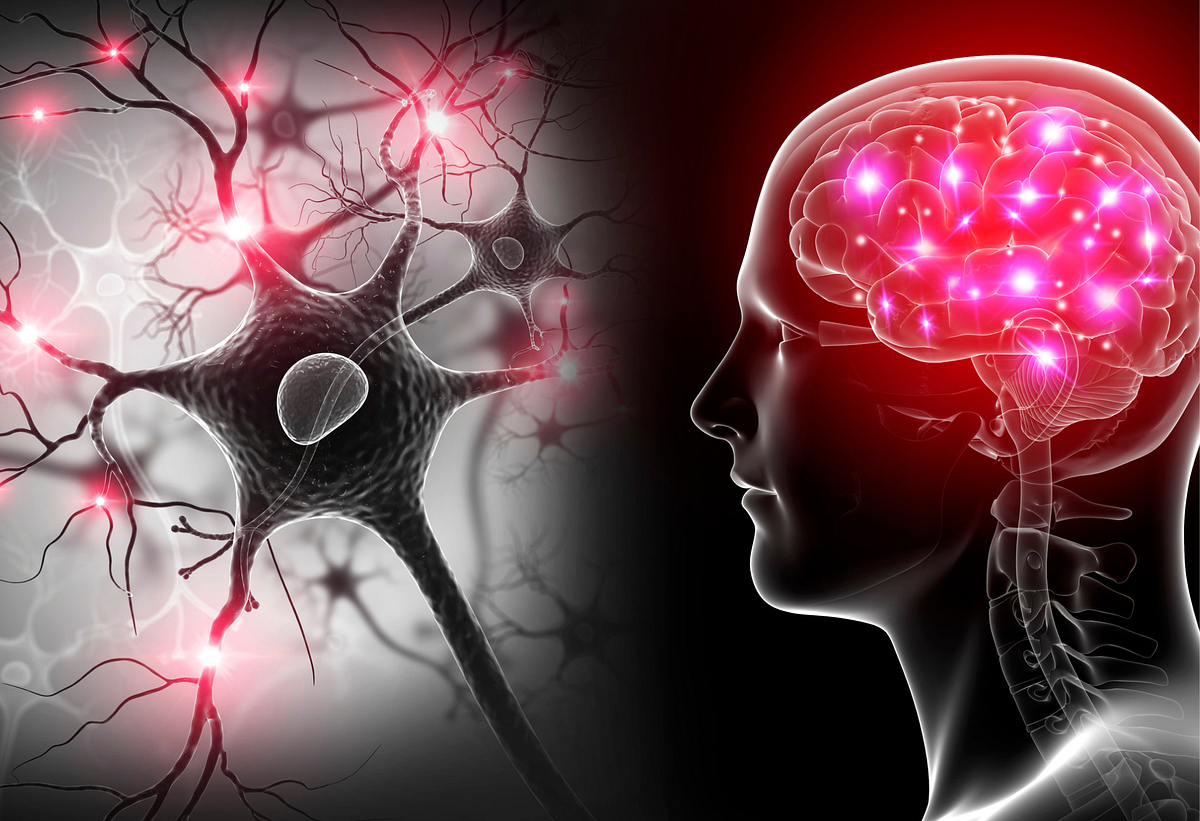 Tricking the Brain: A Novel Approach to Treating Brain Diseases | by ...