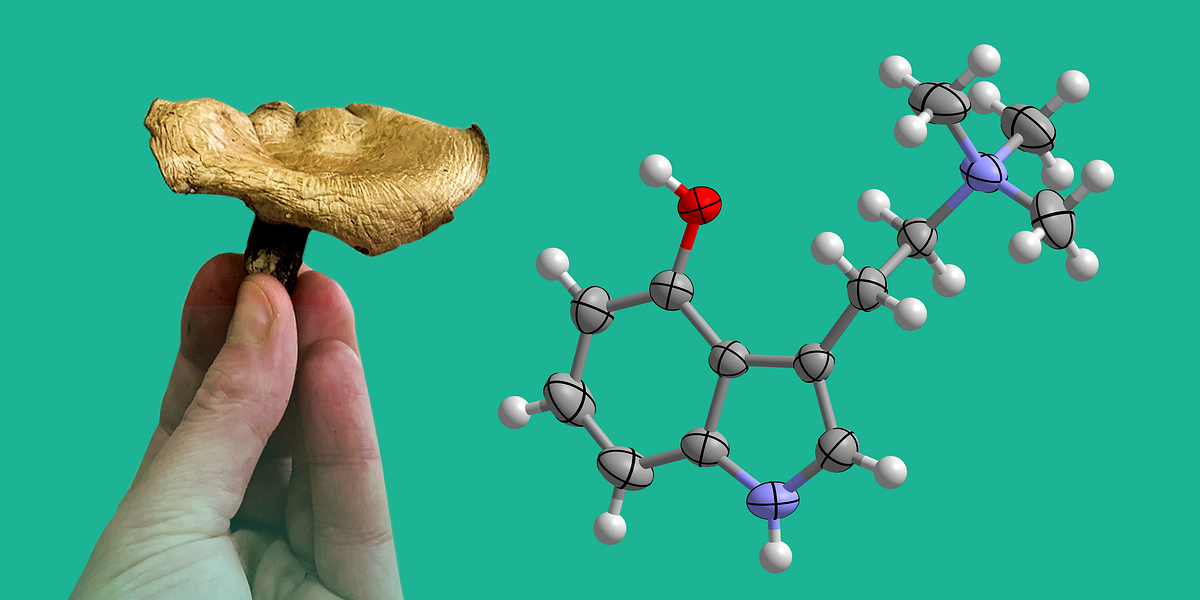 Talking Novel Tryptamines With Dr Chadeayne | by Jack Revell | Drugs ...