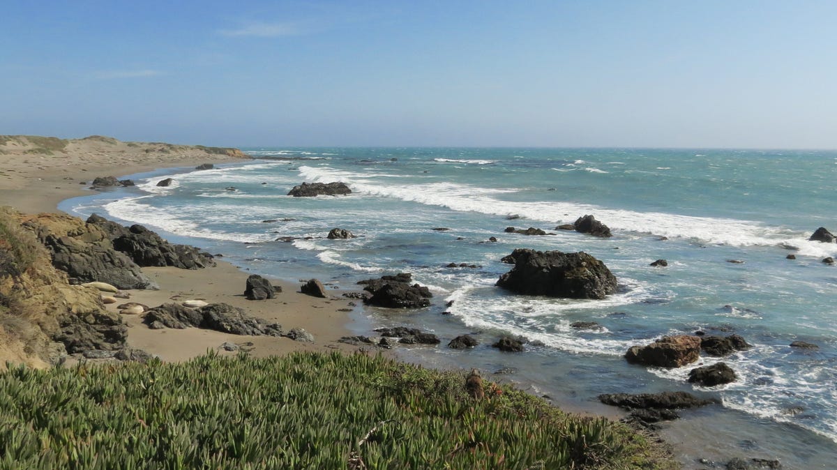April 22 Is Earth Day. We can all make a difference | by Kim Zuch ...