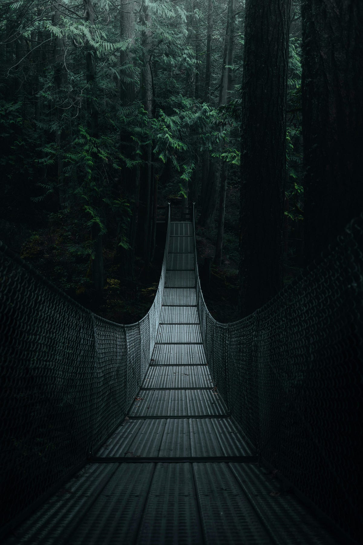 Surviving Alone: Navigating the Abyss After Losing a Lifelong Partner ...