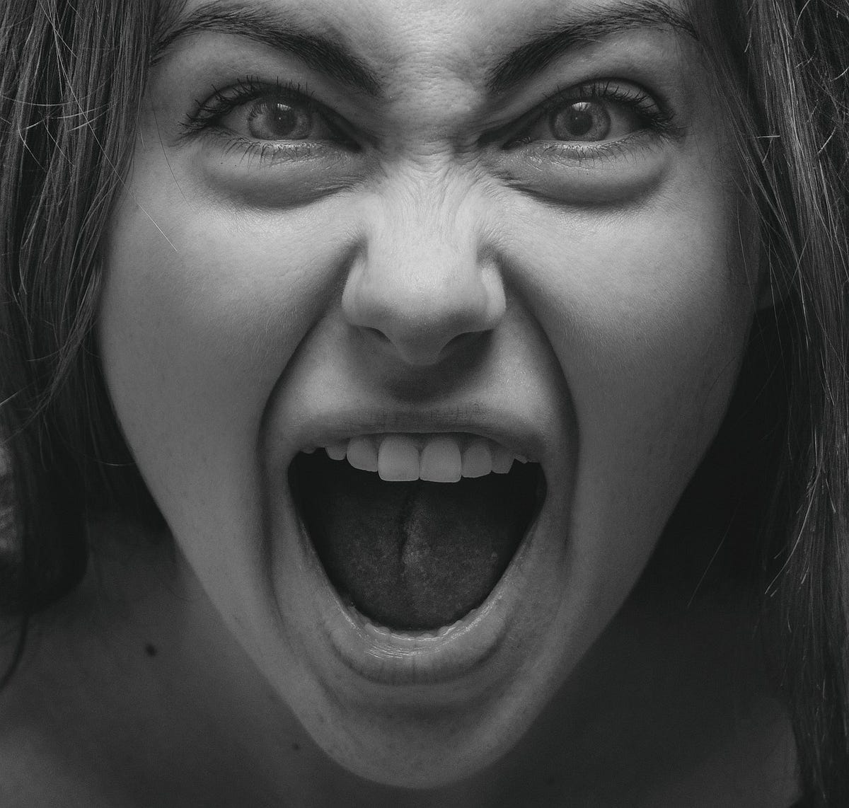 What Is All The Screaming About? My First Encounter With Rock Fans ...
