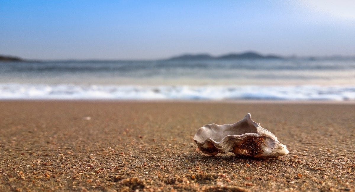 Java For Shell Scripting How To Use Java Self Contained Shell By Ben Weidig Medium