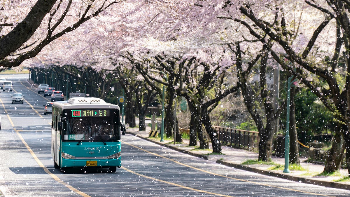 10 Lessons I learned in South Korea After living there for 1 year | by sir.sk | Medium