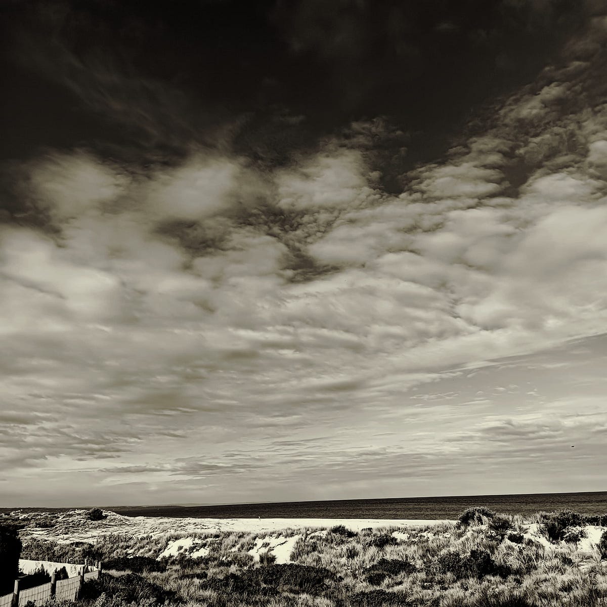 Sadness Descends - chris papps - Medium
