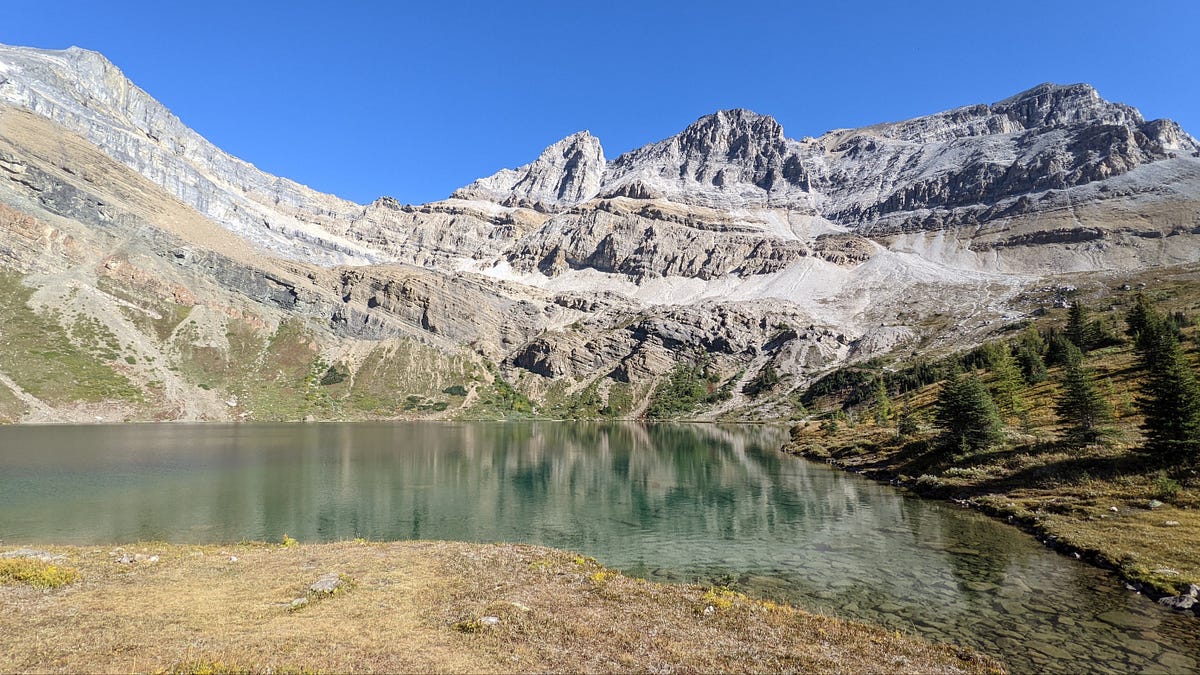 A New View at Hidden Lake. For the first time in 50 years, native… | by ...
