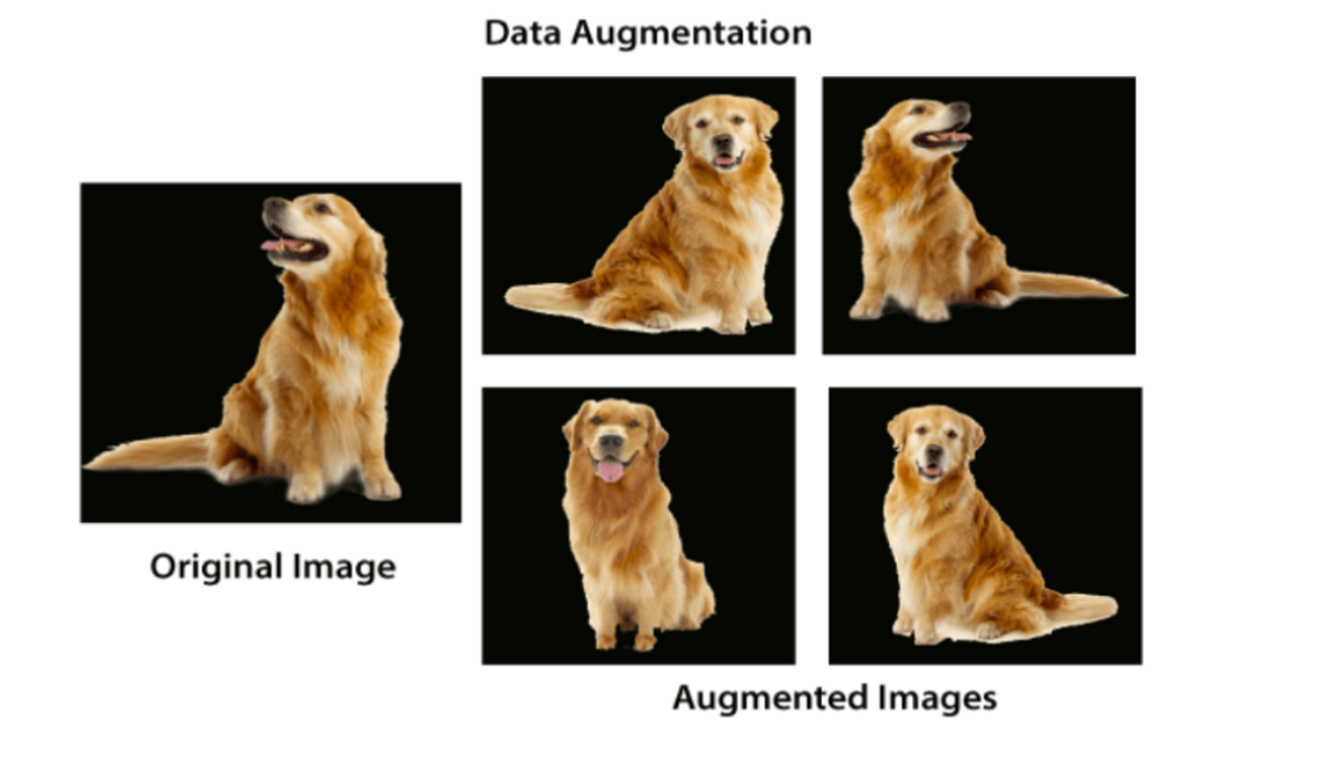 Data Augmentation meaning: How to do data augemtation in DL ? | by Wiem ...