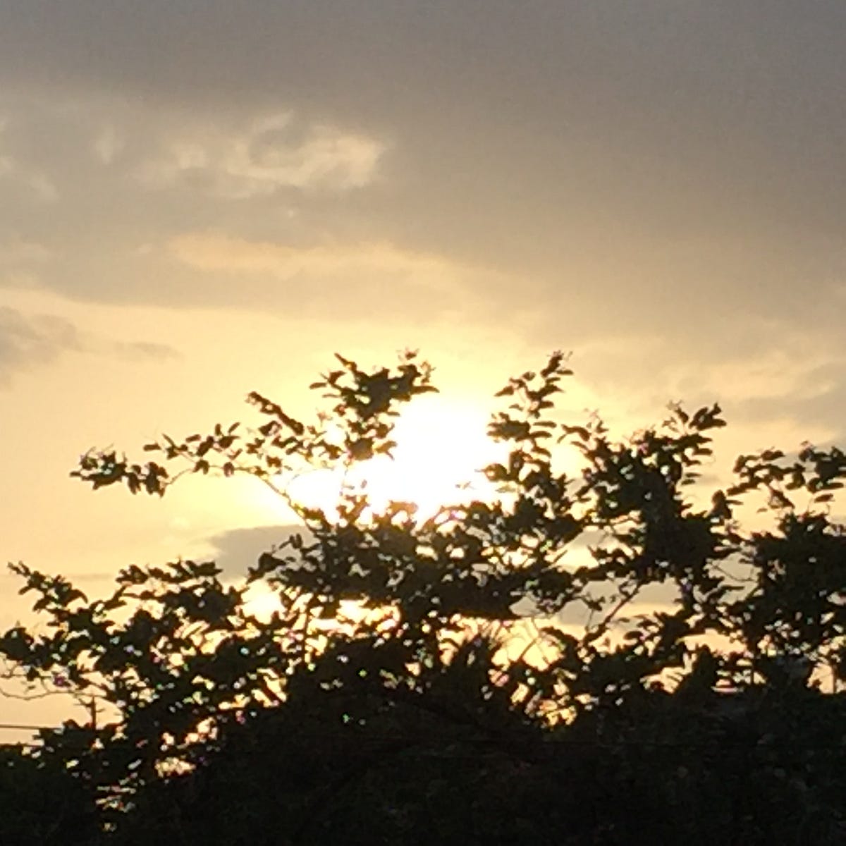 Have you tried offering a sunset your full presence? | by A Joyful Mind ...
