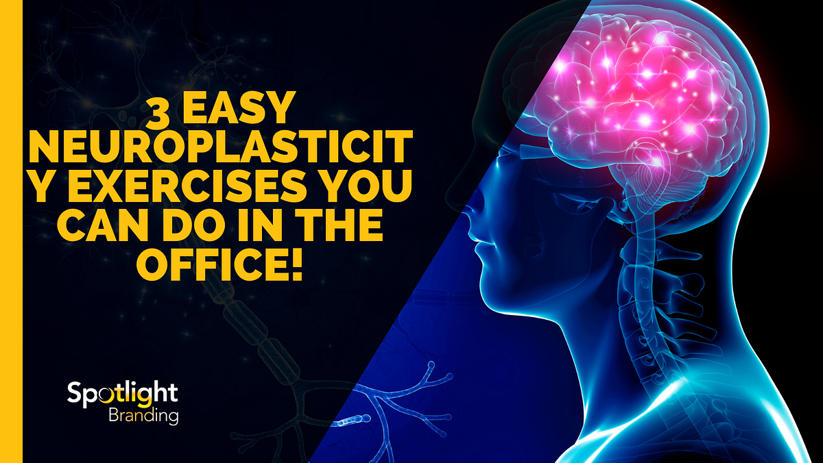 3 Easy Neuroplasticity Exercises You Can Do in the Office! | by John ...