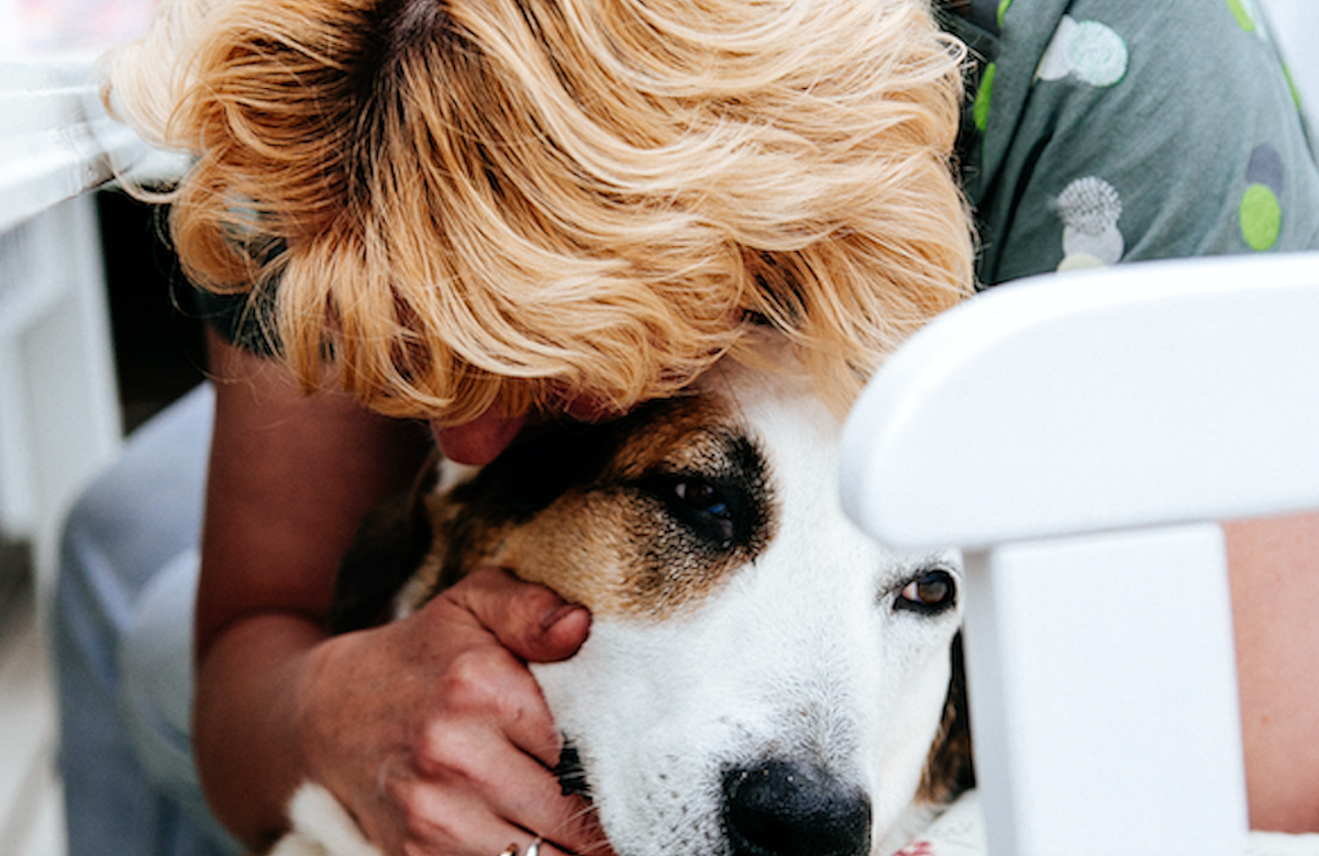 The Psychology of Dog-Hugging.. Learning the big furry difference… | by ...