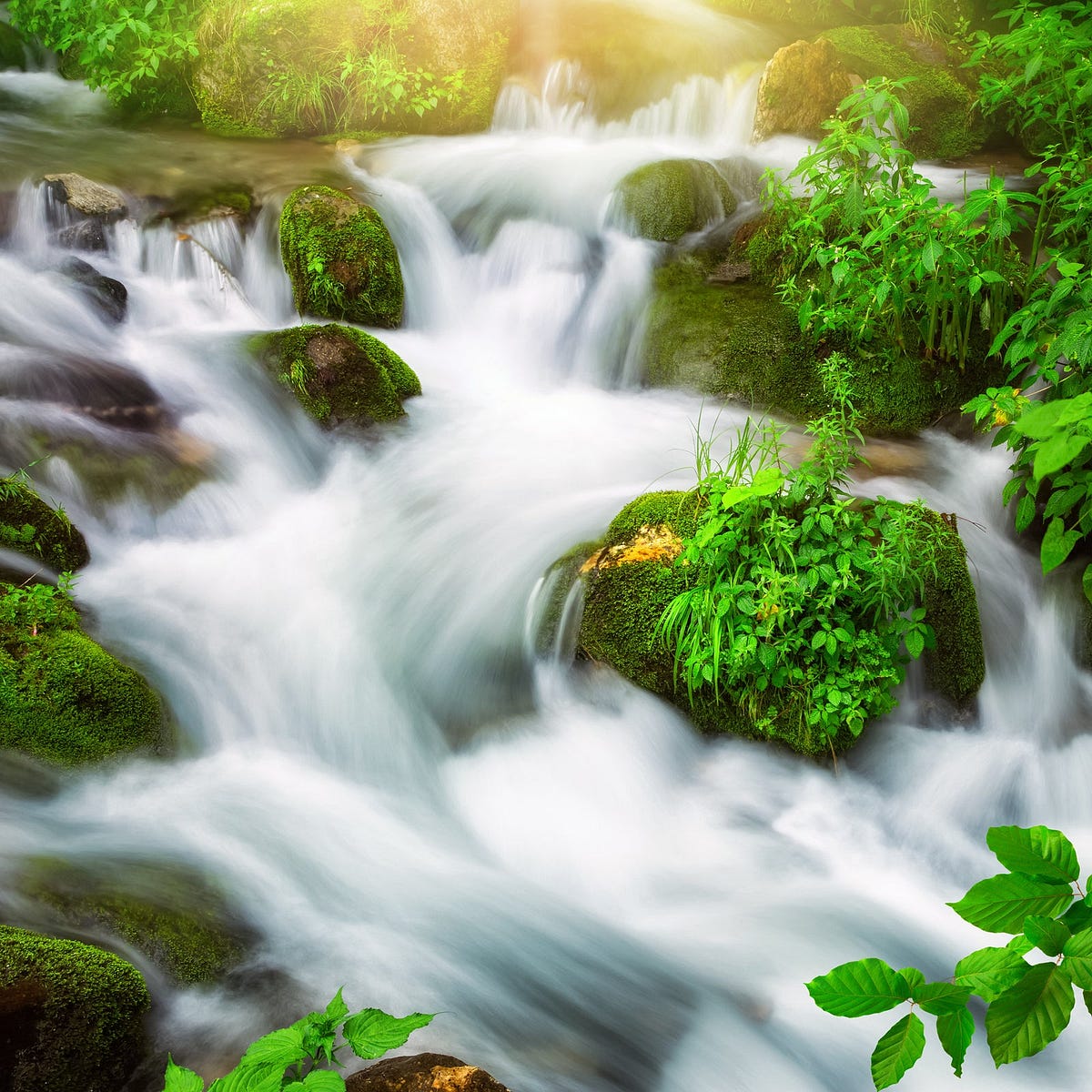 THE WATER FLOWS DOWNHILL When you feel alone in your feats and others ...