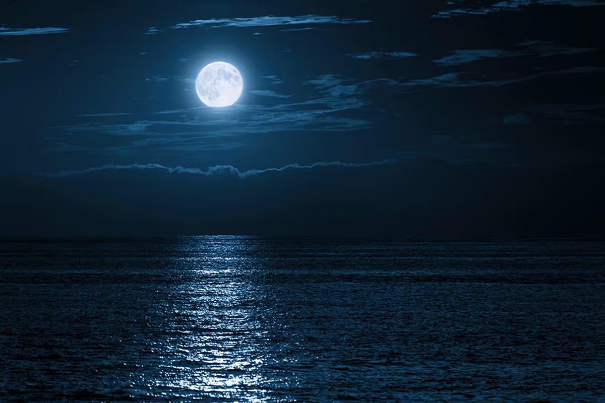 The Moon Sees Every Generation. The moon sees every generation, do you… | by Eive.artics | Aug ...