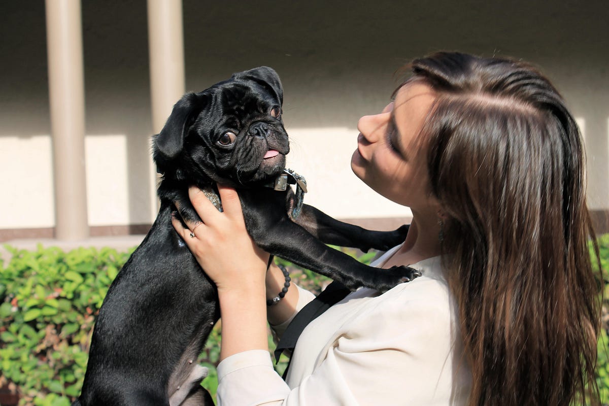 Meet Ajax. Ravenn is a junior here at the… | by Ella O'Toole | Medium