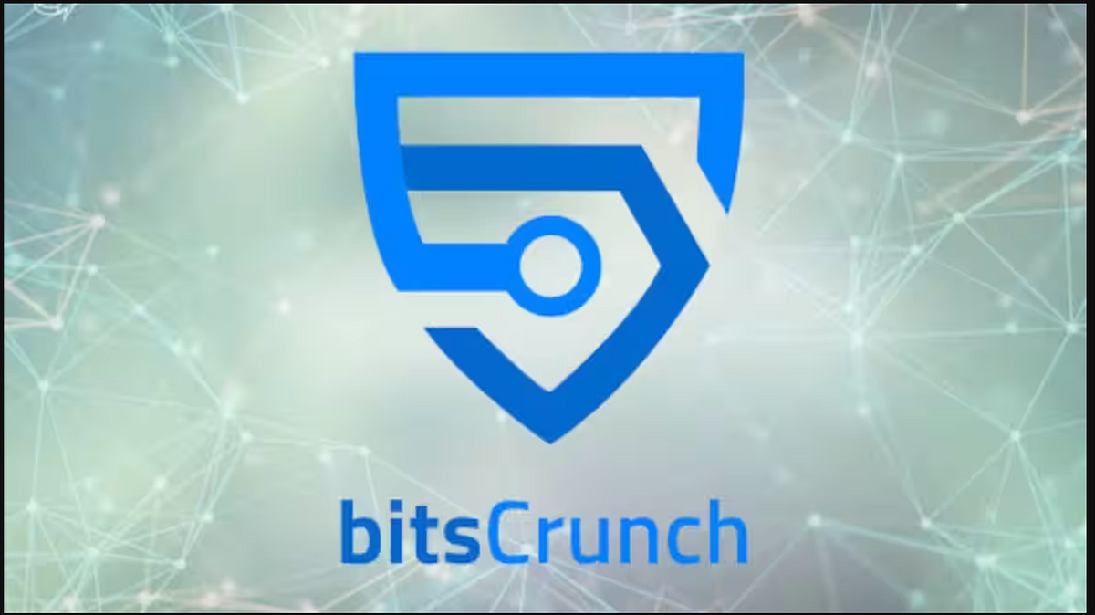 BITSCRUNCH THE NFT POLICE. bitsCrunch, a blockchain and… | by ...
