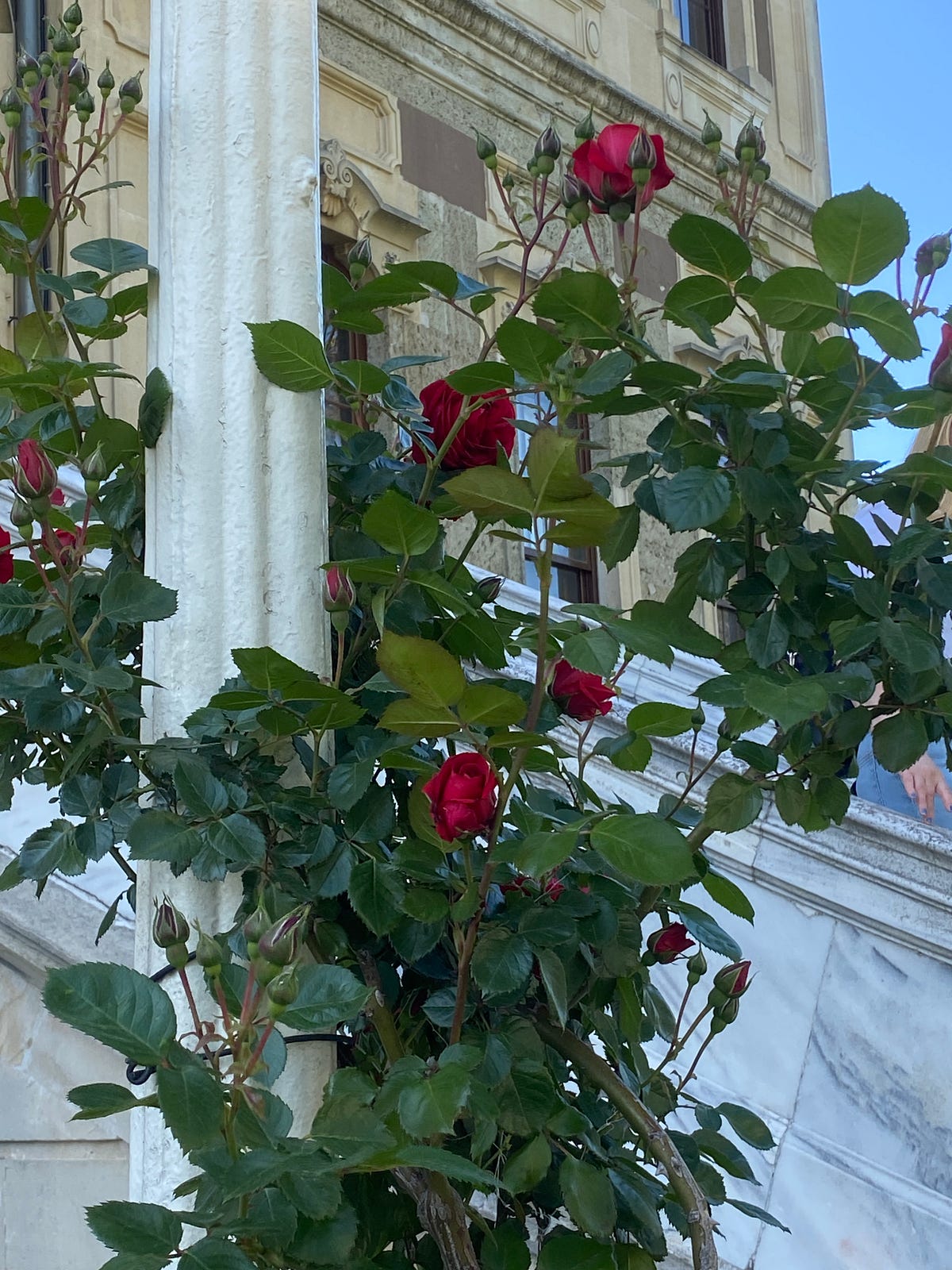 warmest place I’ve ever lived. Why | by Faizah Dewi | Medium