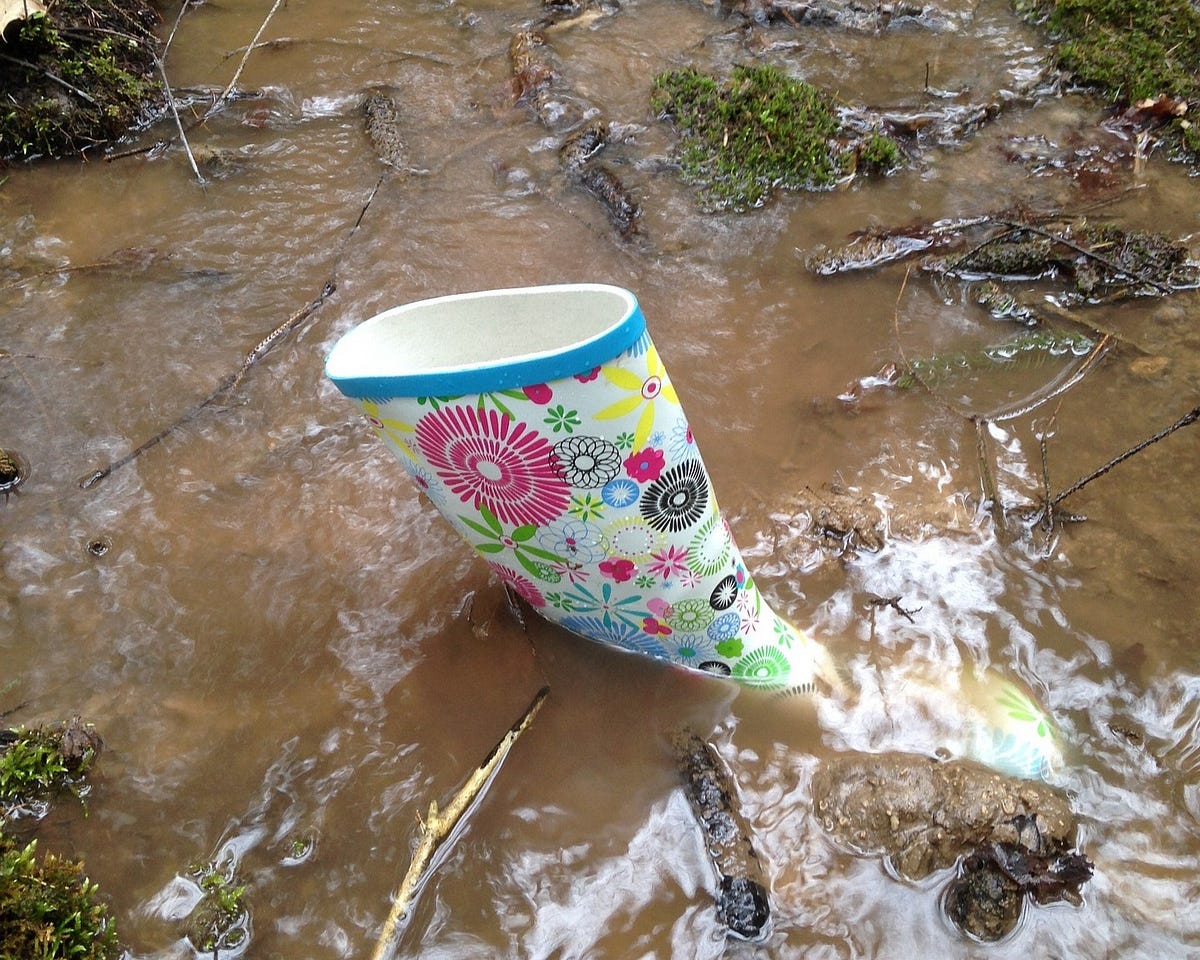 If You Get Stuck in the Swamp, Swim Out of Your Boots | by Laura Roeven ...