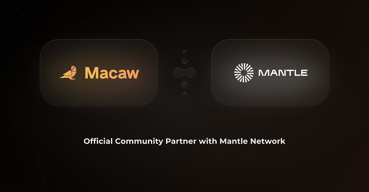 Macaw Takes Flight on Mantle Network! 🚀 🦜 | by Macaw | Medium