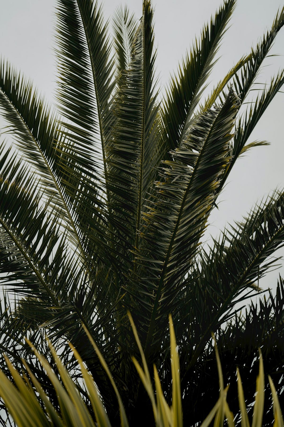 lets all just stop worrying. Photo by Kellen Riggin on Unsplash | by ...