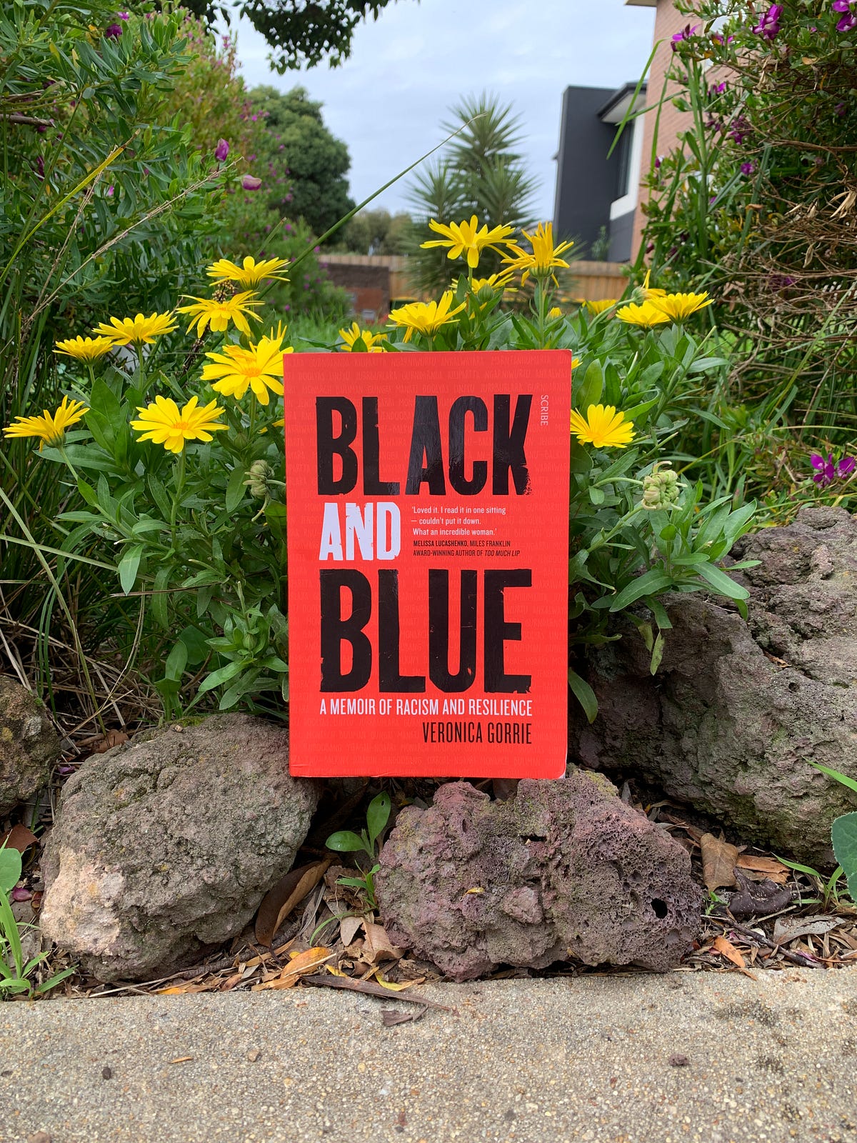 Black and Blue. A racism of racism and resilience by… | by Ruben | Medium