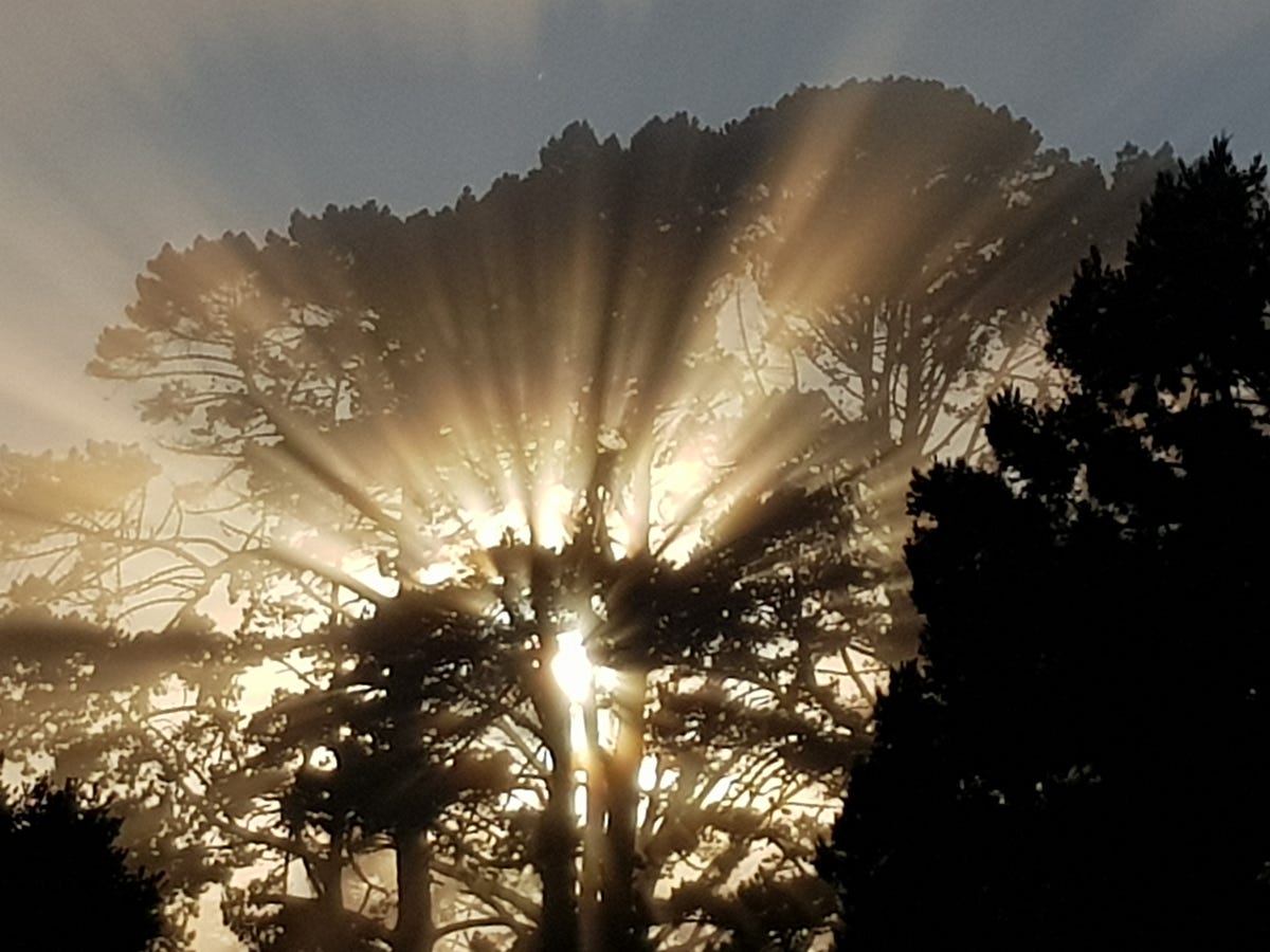 ADAPTABILITY IN OUR CHANGING TIMES | by Ingrid Ward | Medium