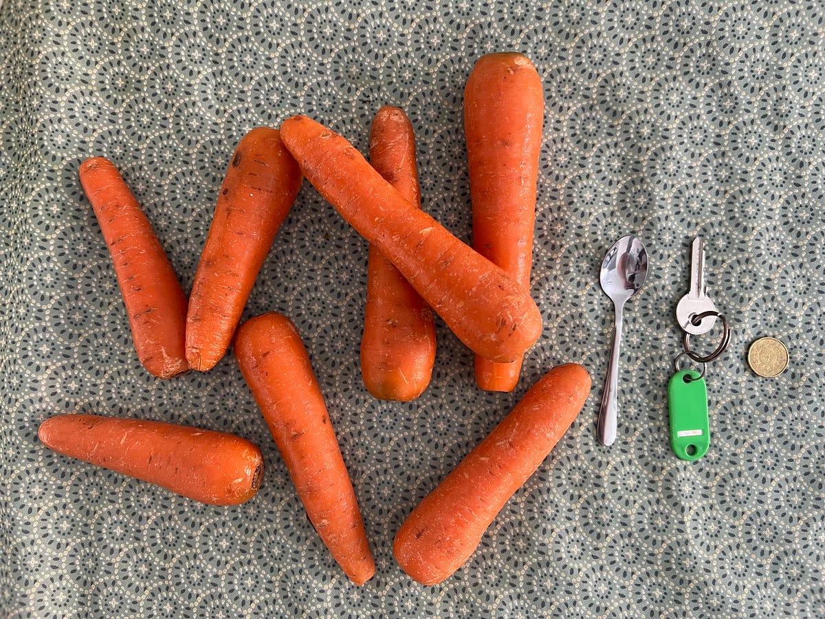 Peeling a carrot. You are not alone, it can happen to… | by Mihail Stevchev | Medium