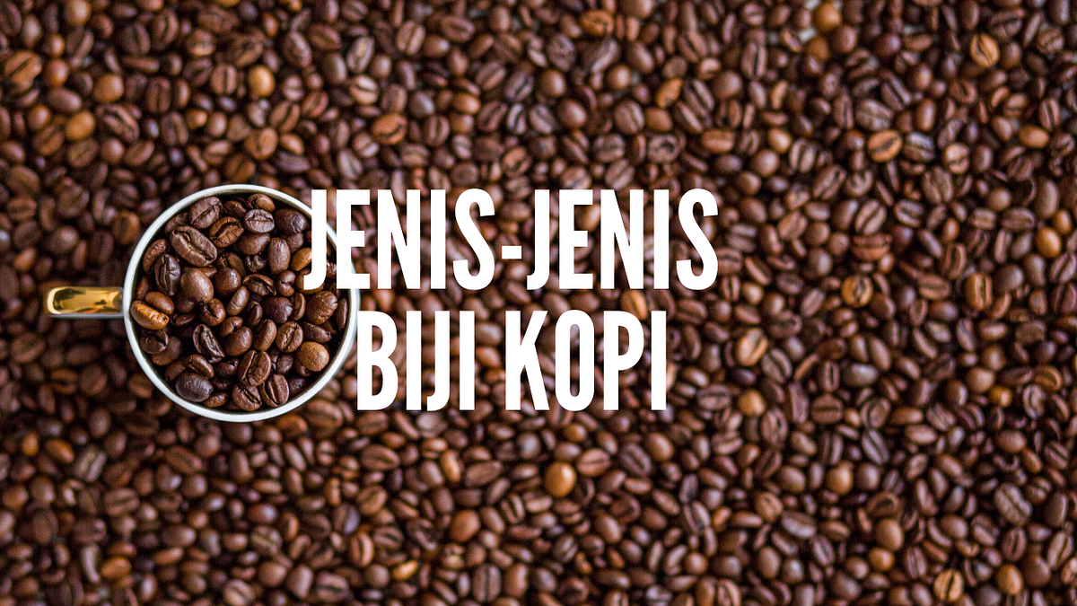 Jenis-Jenis Biji Kopi dan Karakteristiknya | by Pagawakdiana | Medium