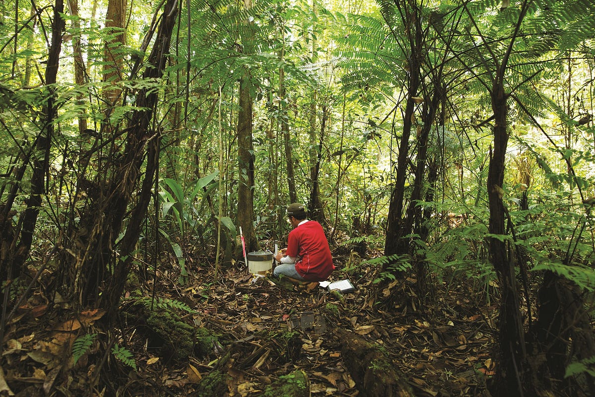 Preventing corruption in forest conservation: the difference civil ...