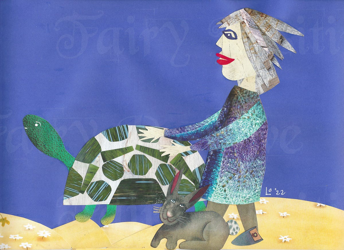 Waiting to Save Two Lives. Could This Husky and Turtle Have Been… | by ...