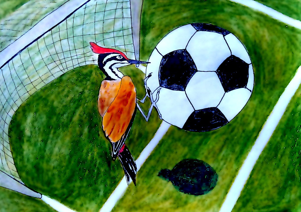 Slosh Mitigation. Why don’t woodpeckers get concussions? | by Deesha ...