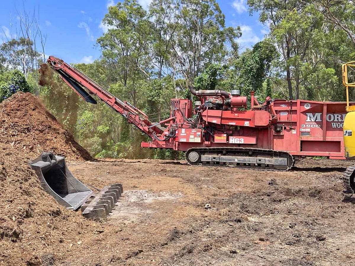Vegetation Clearing - Dynamic Tree Solutions - Medium