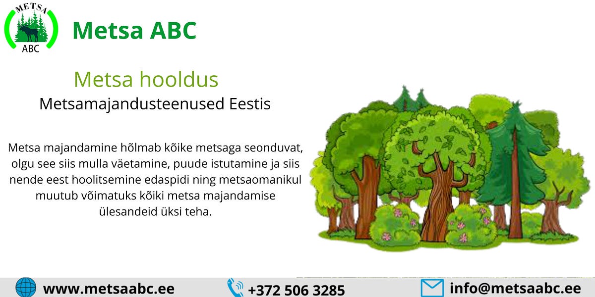 Metsapuude eduka langetamise sammud | Metsa ABC | by Metsa ABC | Medium