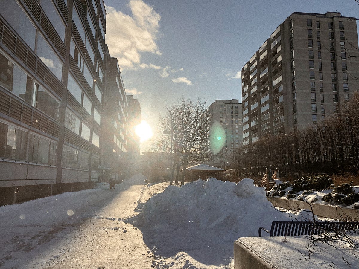 Is Merihaka secretly the best place to live in Helsinki? | by Venla ...