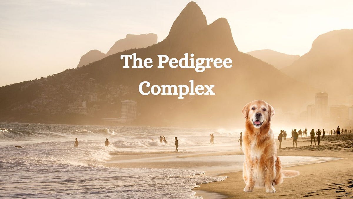 The Pedigree Complex. Nelson Rodrigues, Jessé Souza, Lélia… | by Victor ...