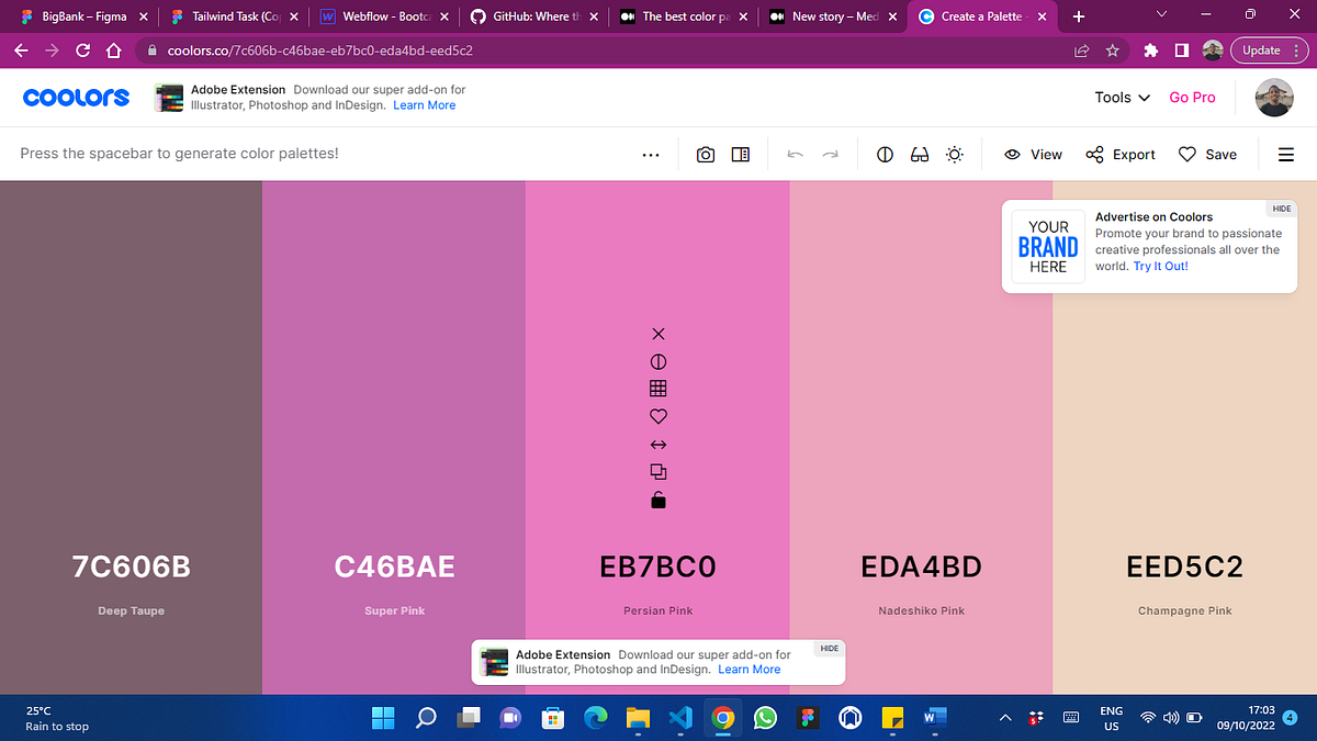 Coolors- One of the best colour palette generators for your design | by ...