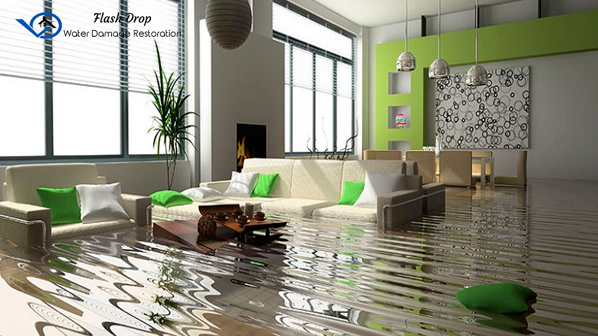 The Impact of Water Contamination in Flood Restoration | by Flash Drop ...