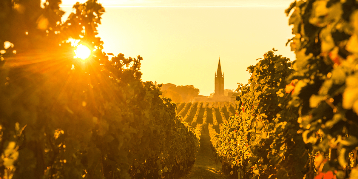 Exploring Bordeaux’s Premier Fine Wine Appellations | by CellarDAO | Medium