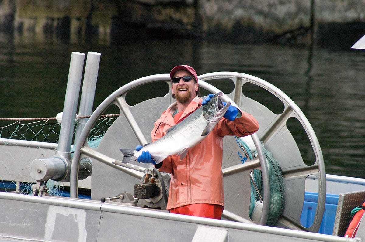 Supporting small-scale fisheries with seafood direct marketing | by ...