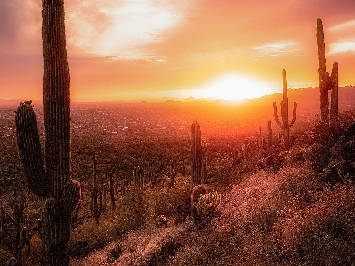 Hello from Hell. AKA Phoenix, Arizona — in the… | by Rally Preston ...